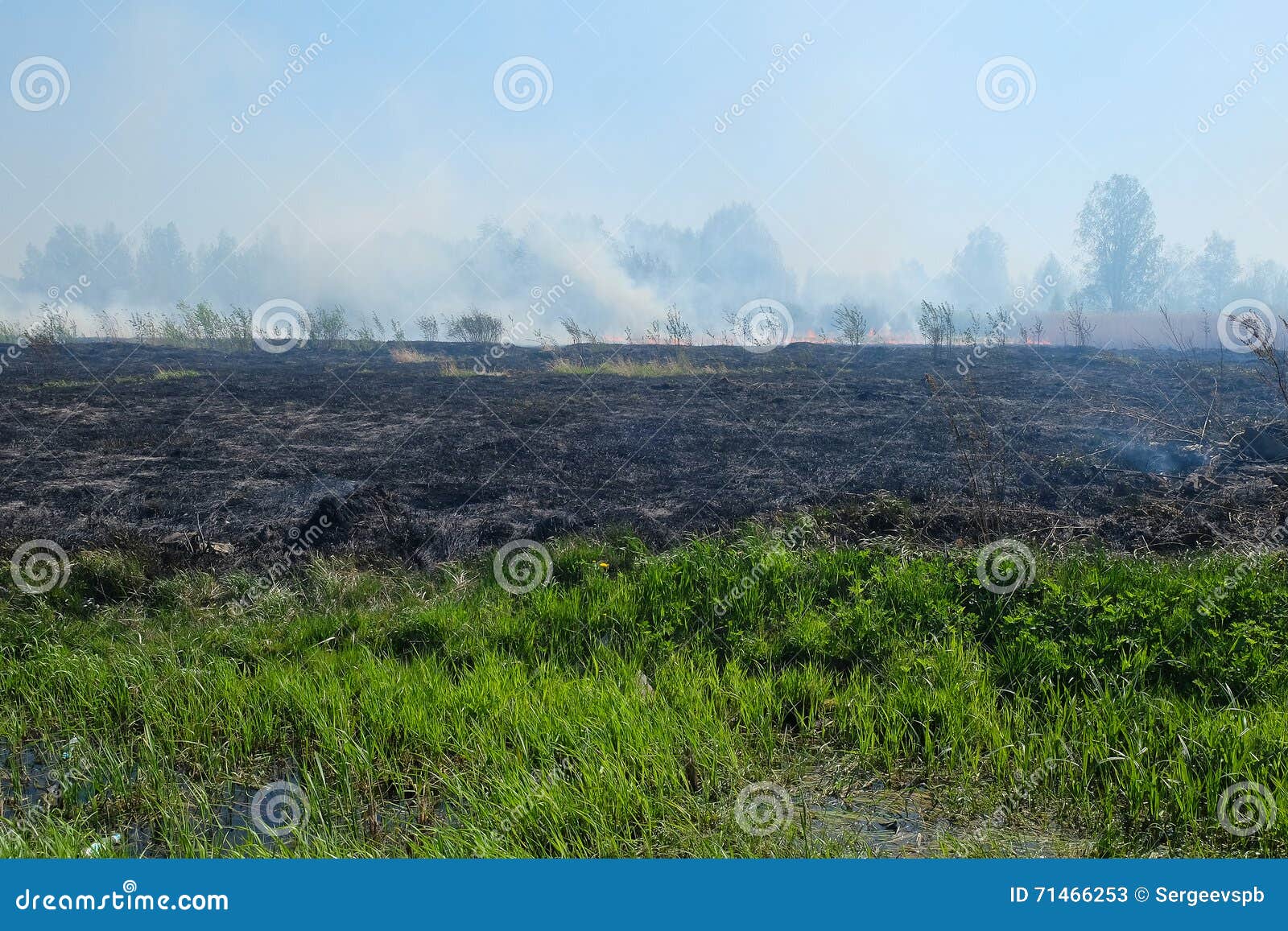A peat fire stock image. Image of inferno, earth, conflagration - 71466253