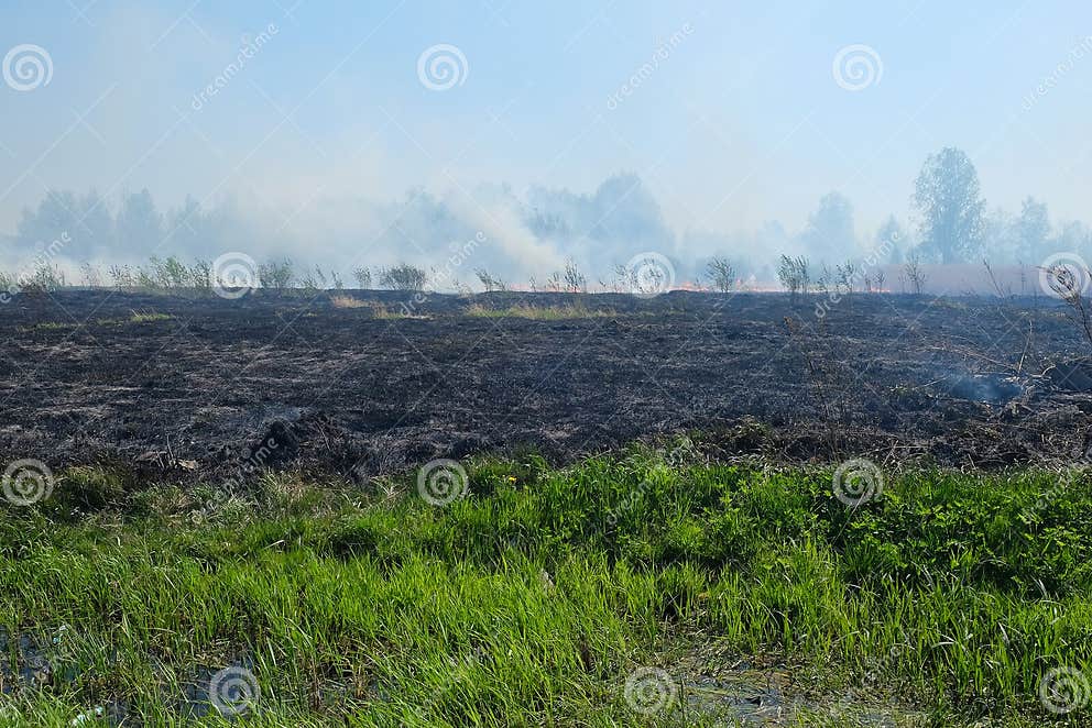 A peat fire stock image. Image of inferno, earth, conflagration - 71466253