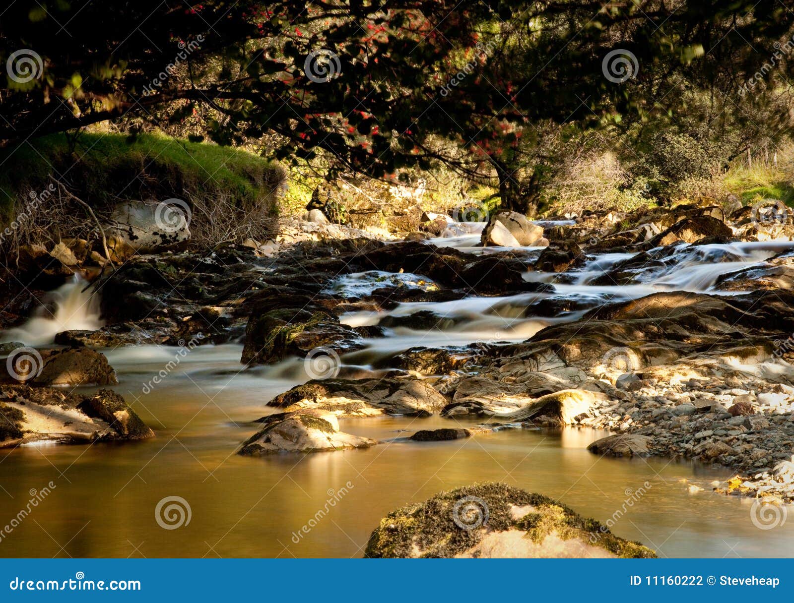 Peat Laden River in Secluded Welsh Valley Stock Photo - Image of rain ...