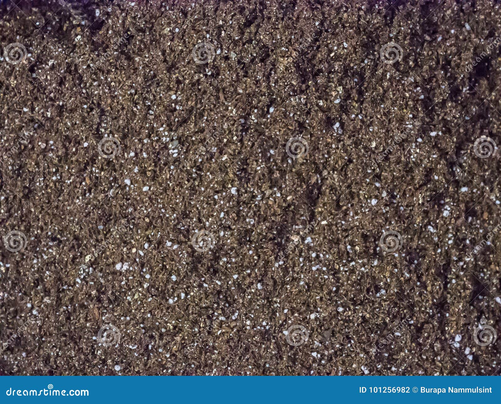 Peat moss soil. stock photo. Image of agriculture, natural - 101256982