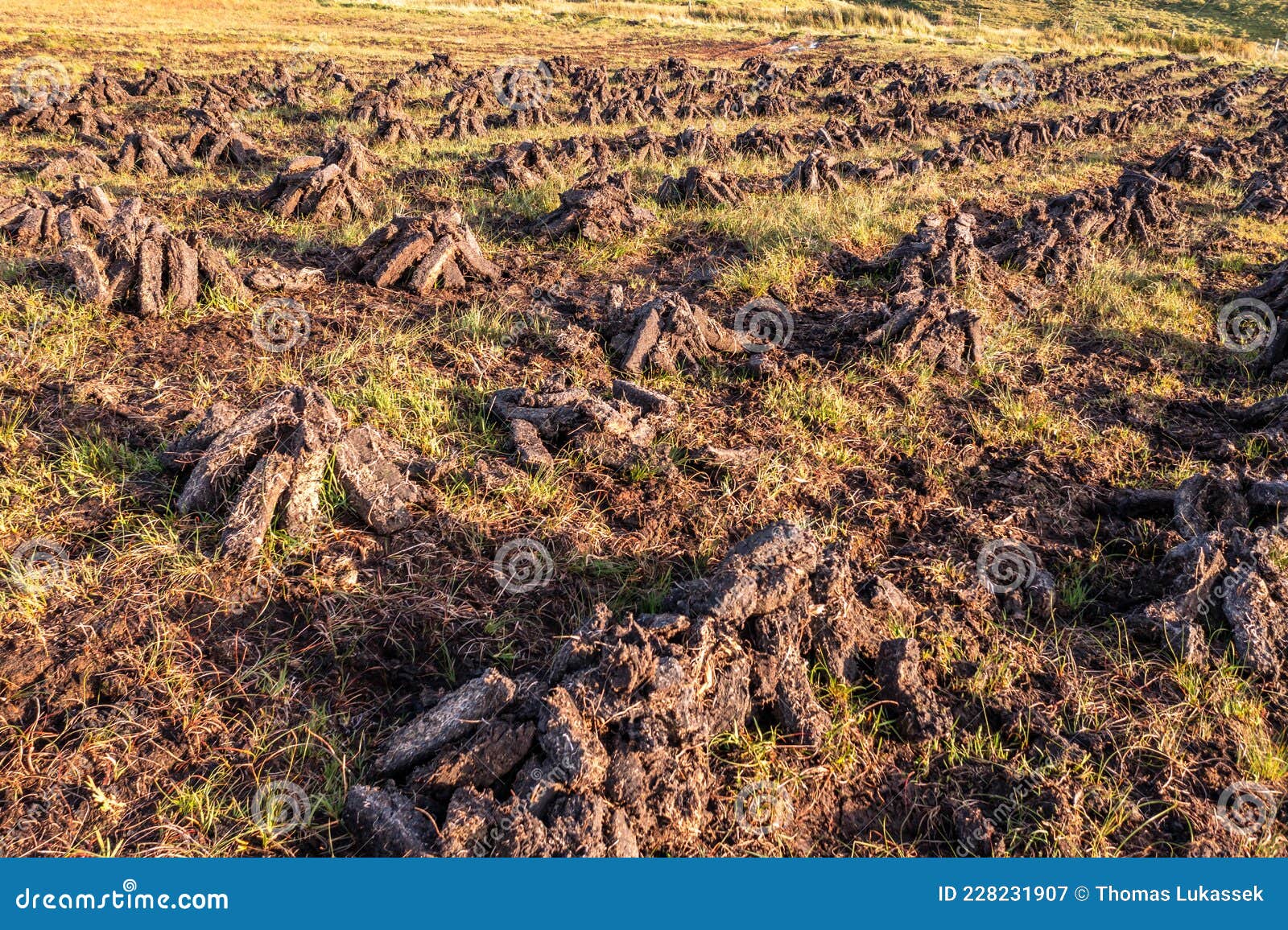 Peat Piled on a Peat Bog in County Donegal - Ireland Stock Image ...
