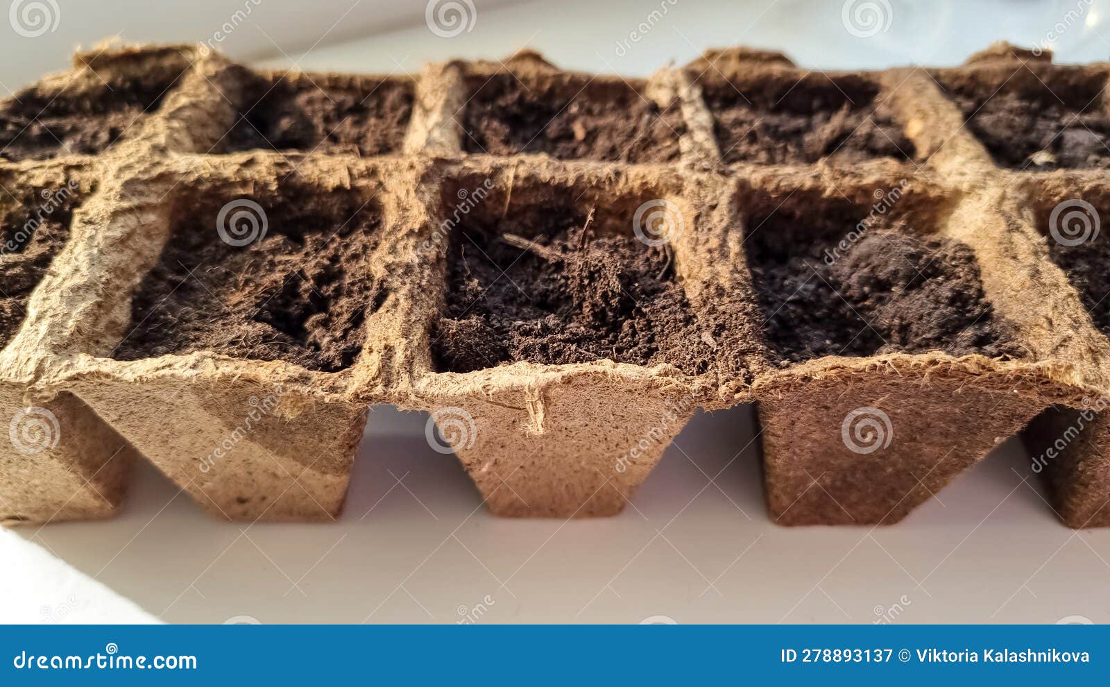 Peat Post with Nutritious Soil. Stock Image - Image of food, breakfast ...