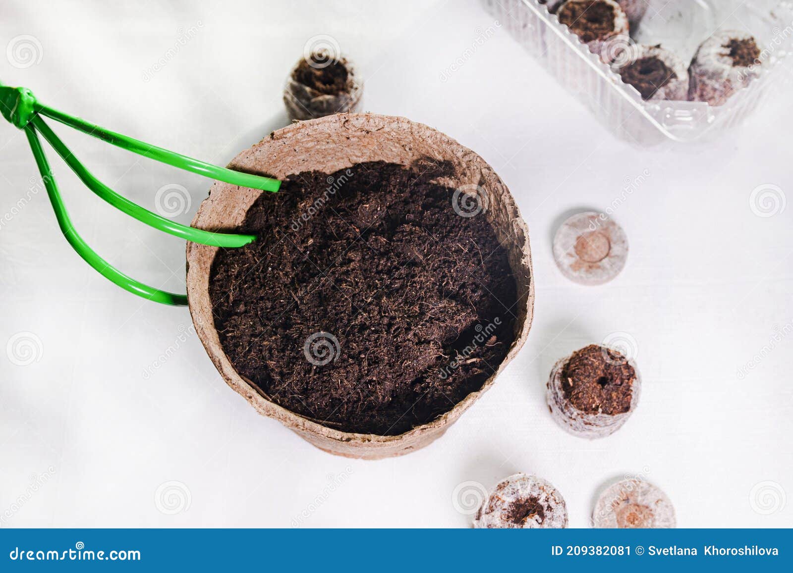 Peat Pot with Humus, Prepared for Planting Stock Image - Image of ...