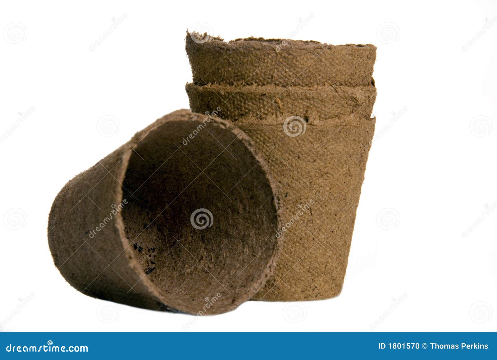 Peat Pots stock photo. Image of spring, gardening, container - 1801570