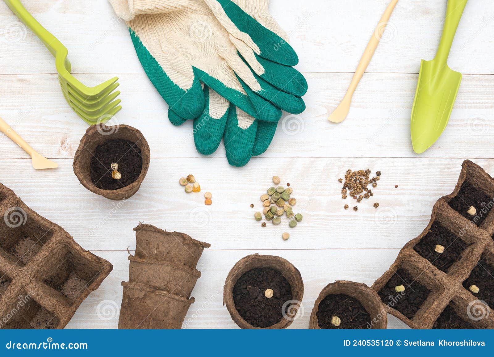 Peat Pots, Tools and Soil are Ready for Planting Seeds. Growing ...