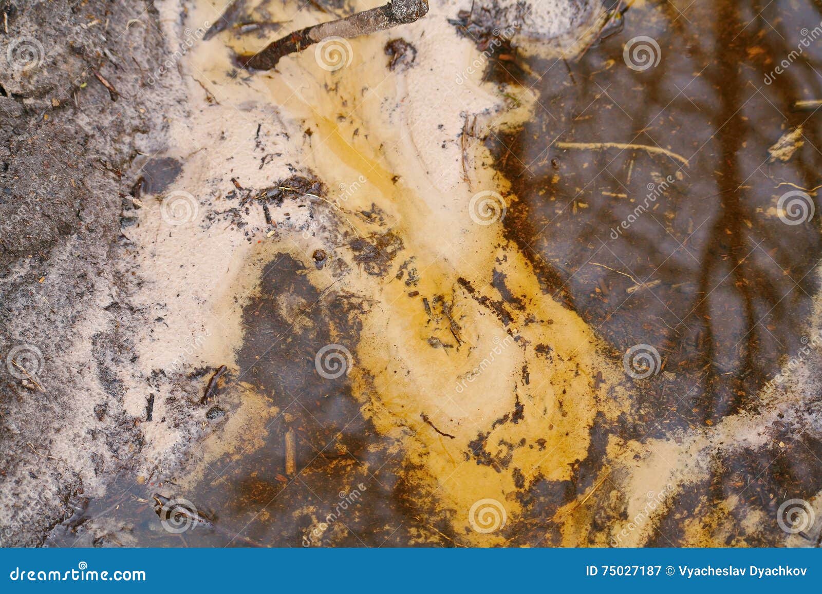 Peat Sediments in the Sandy Bottom of Spring Creek. Soil. the Bottom of ...