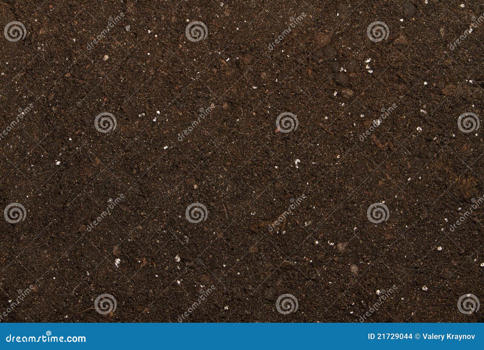 Peat soil stock photo. Image of moss, humus, growing - 21729044