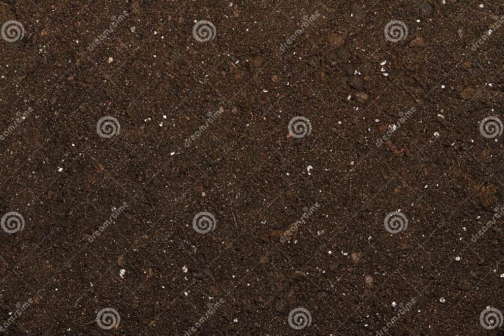Peat soil stock photo. Image of moss, humus, growing - 21729044