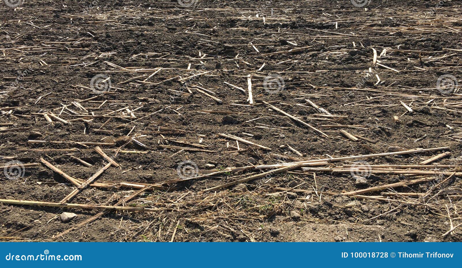 Peat Soil Texture Background Stock Image | CartoonDealer.com #82836061