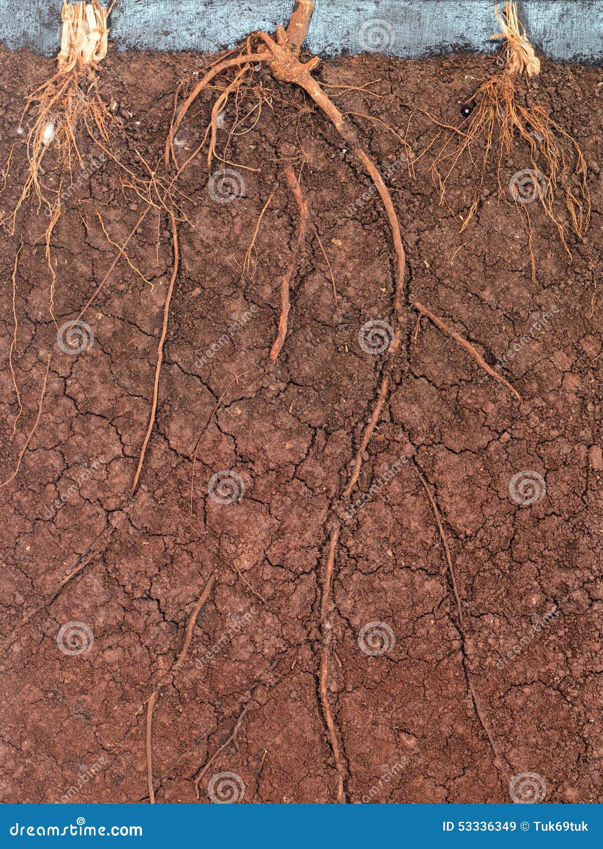 Peat soil background stock image. Image of cultivated - 53336349