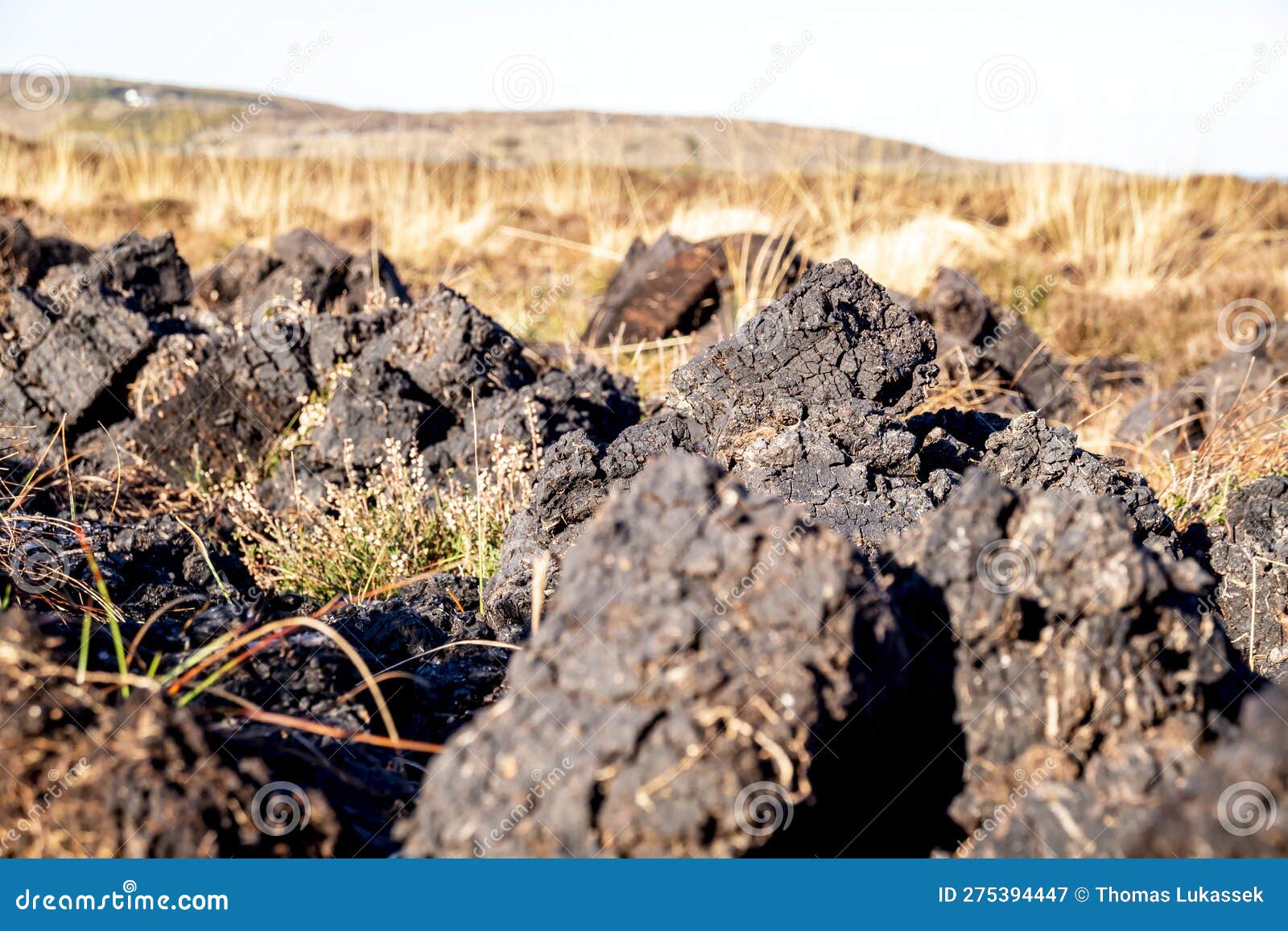 Peat Turf Cutting in County Donegal - Ireland Stock Image - Image of ...