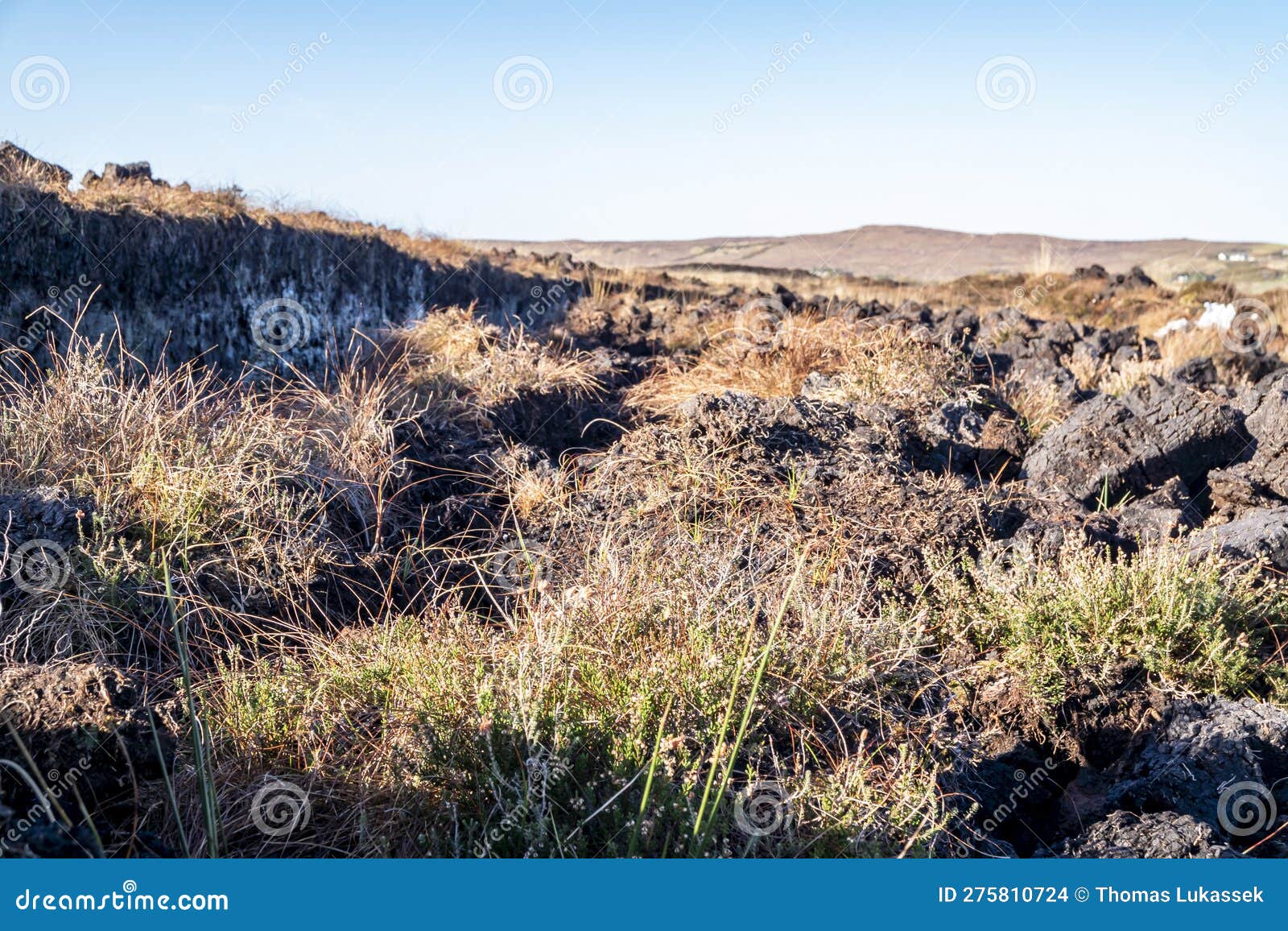 Peat Turf Cutting in County Donegal - Ireland Stock Photo - Image of ...