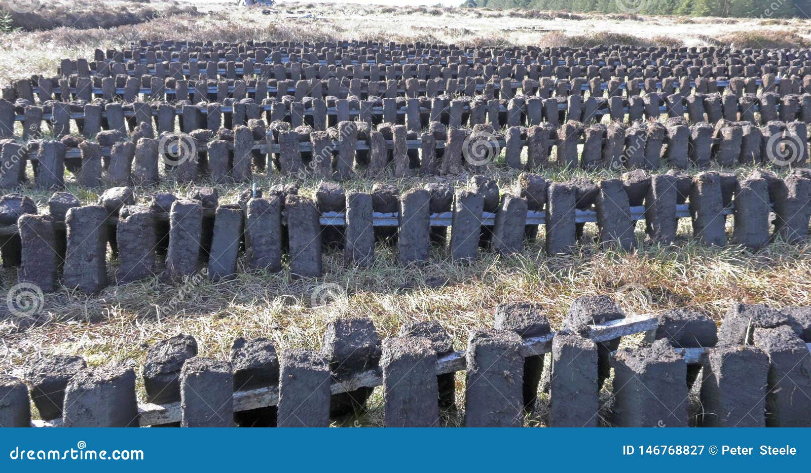 Peat Turf Cutting in Ireland Stock Image - Image of plough, bogland ...