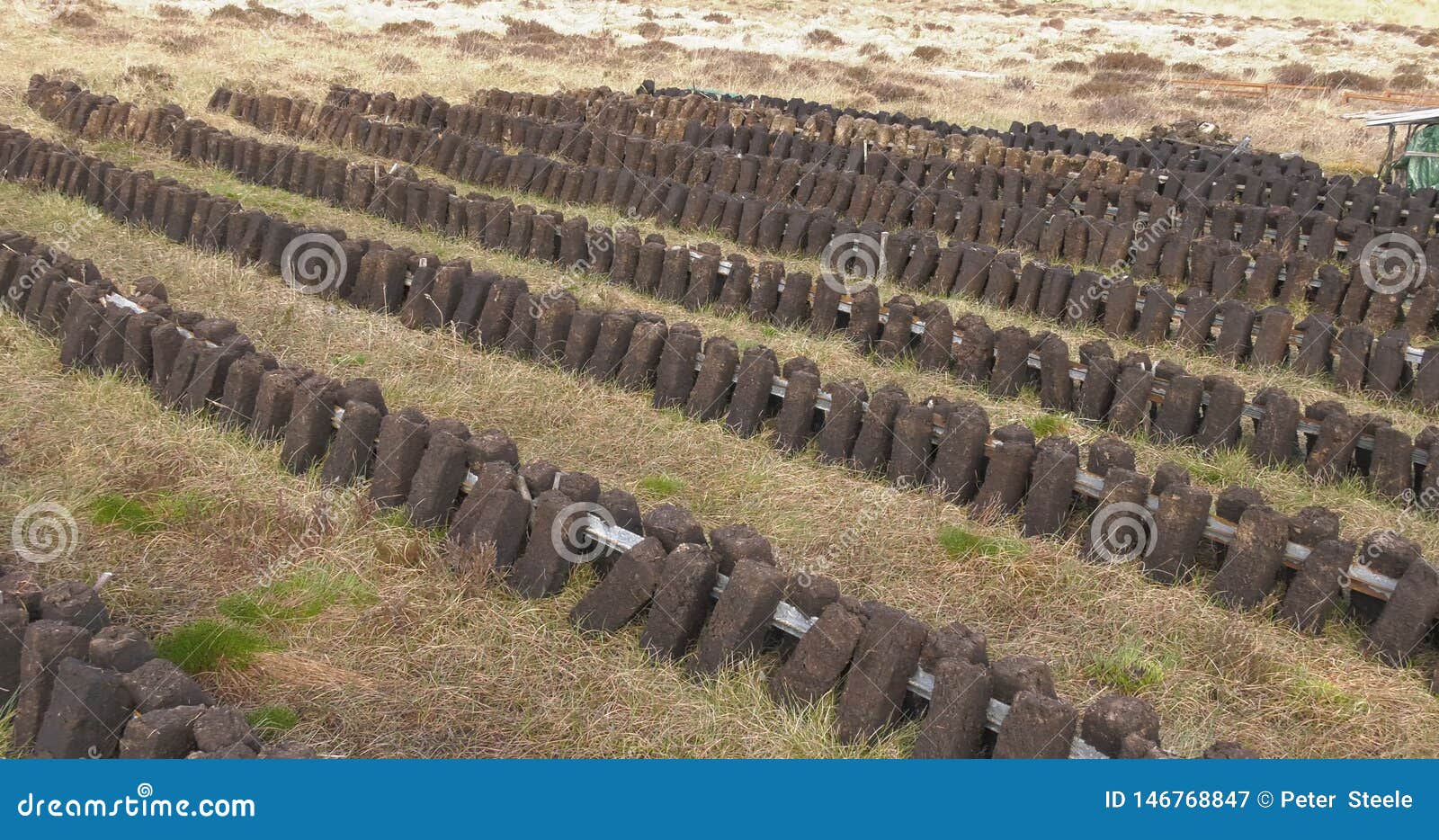 Peat Turf Cutting in Ireland Stock Image - Image of drainage, bages ...