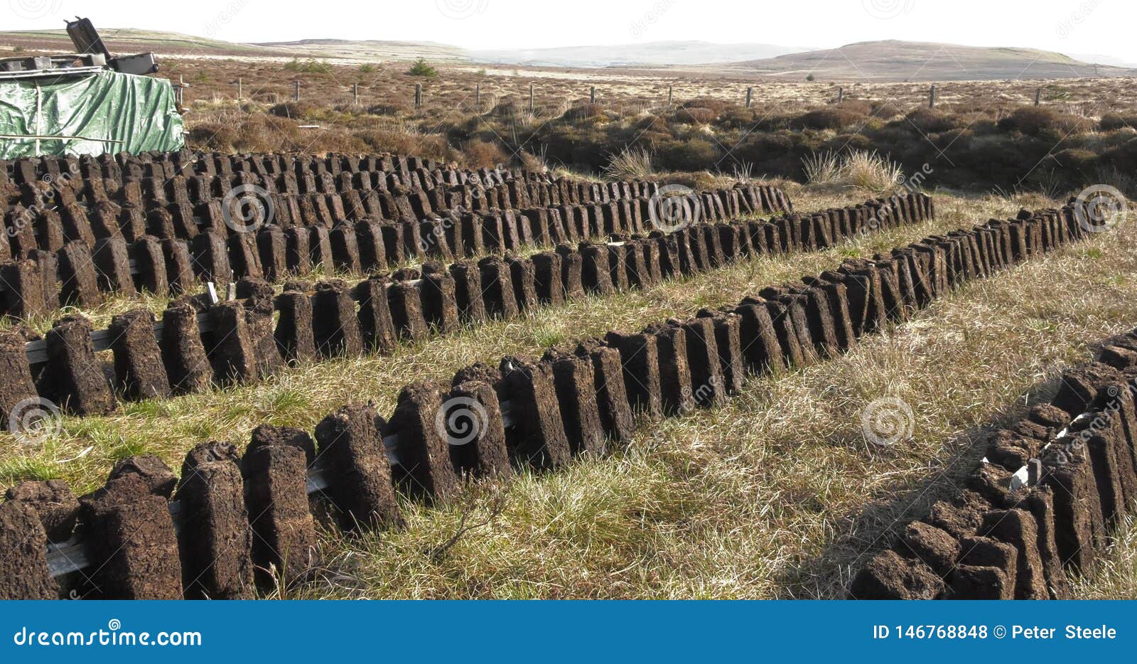 Peat Turf Cutting in Ireland Stock Photo - Image of plough, decompose ...