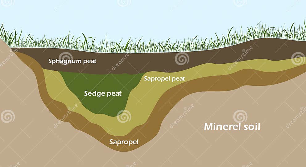 Peat vector illustration stock vector. Illustration of nature - 219029092