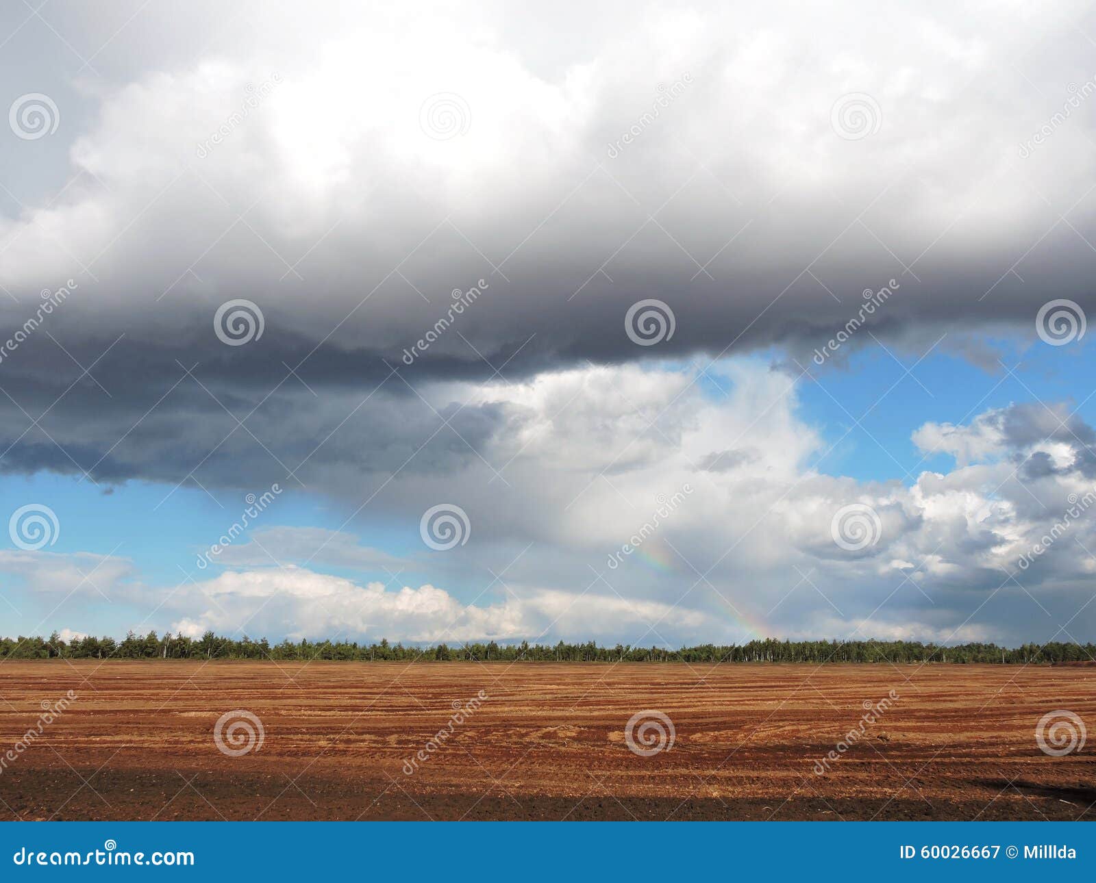 Peatbog and cloudy sky stock image. Image of lithuanian - 60026667