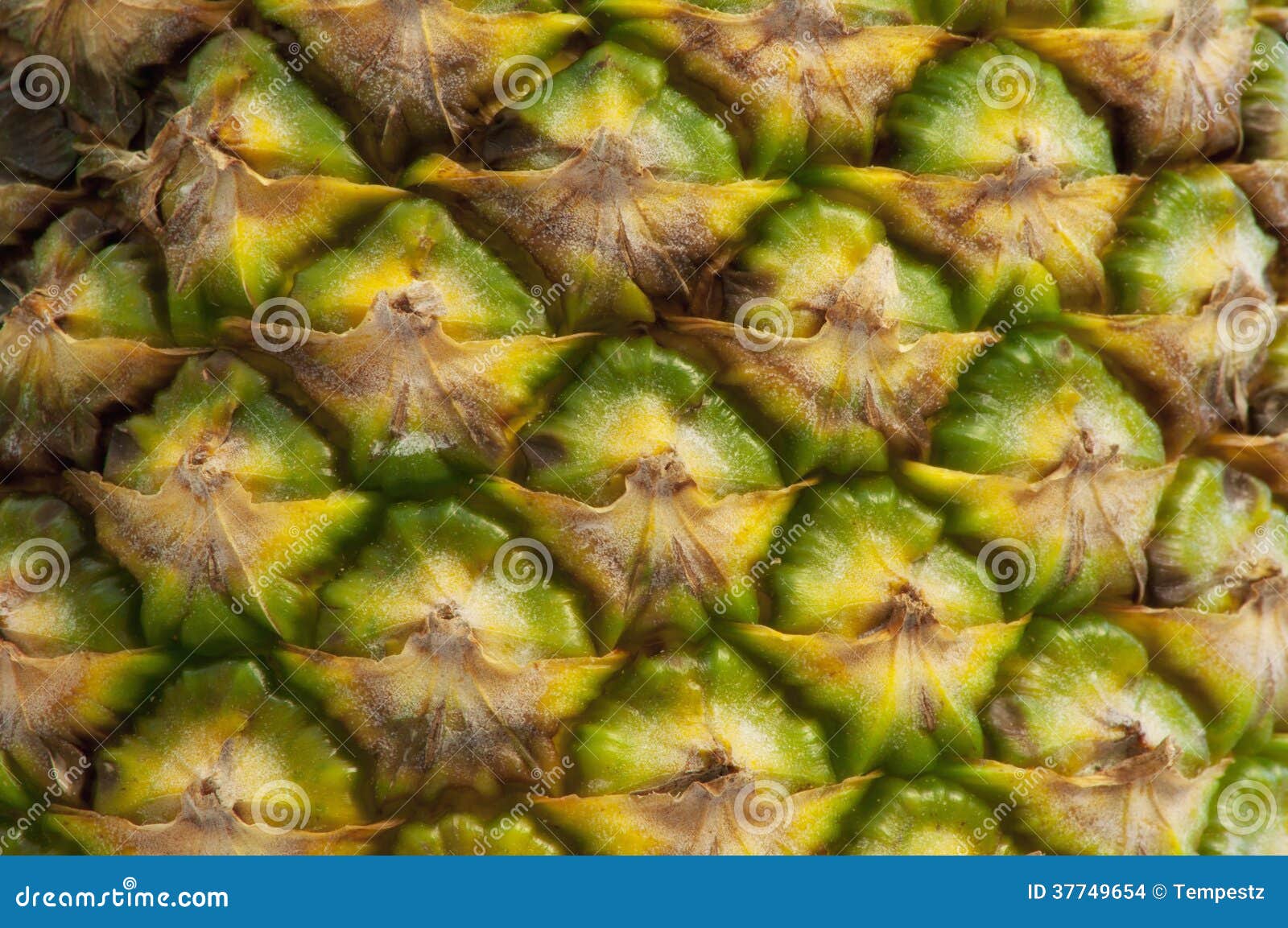 Peau d'ananas photo stock. Image du intéresser, vert - 37749654