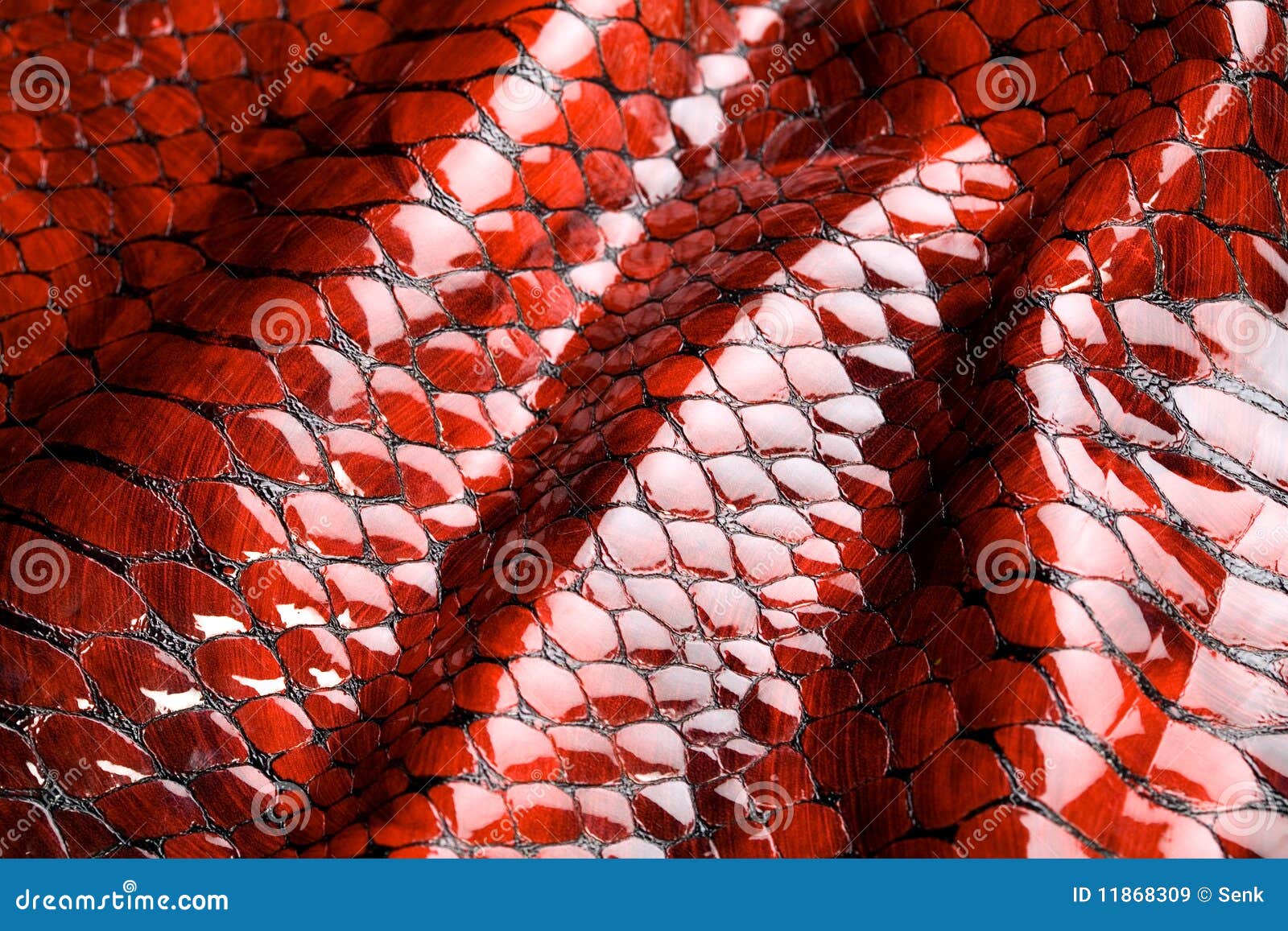 Peau de serpent rouge. image stock. Image du humide, abstrait - 11868309