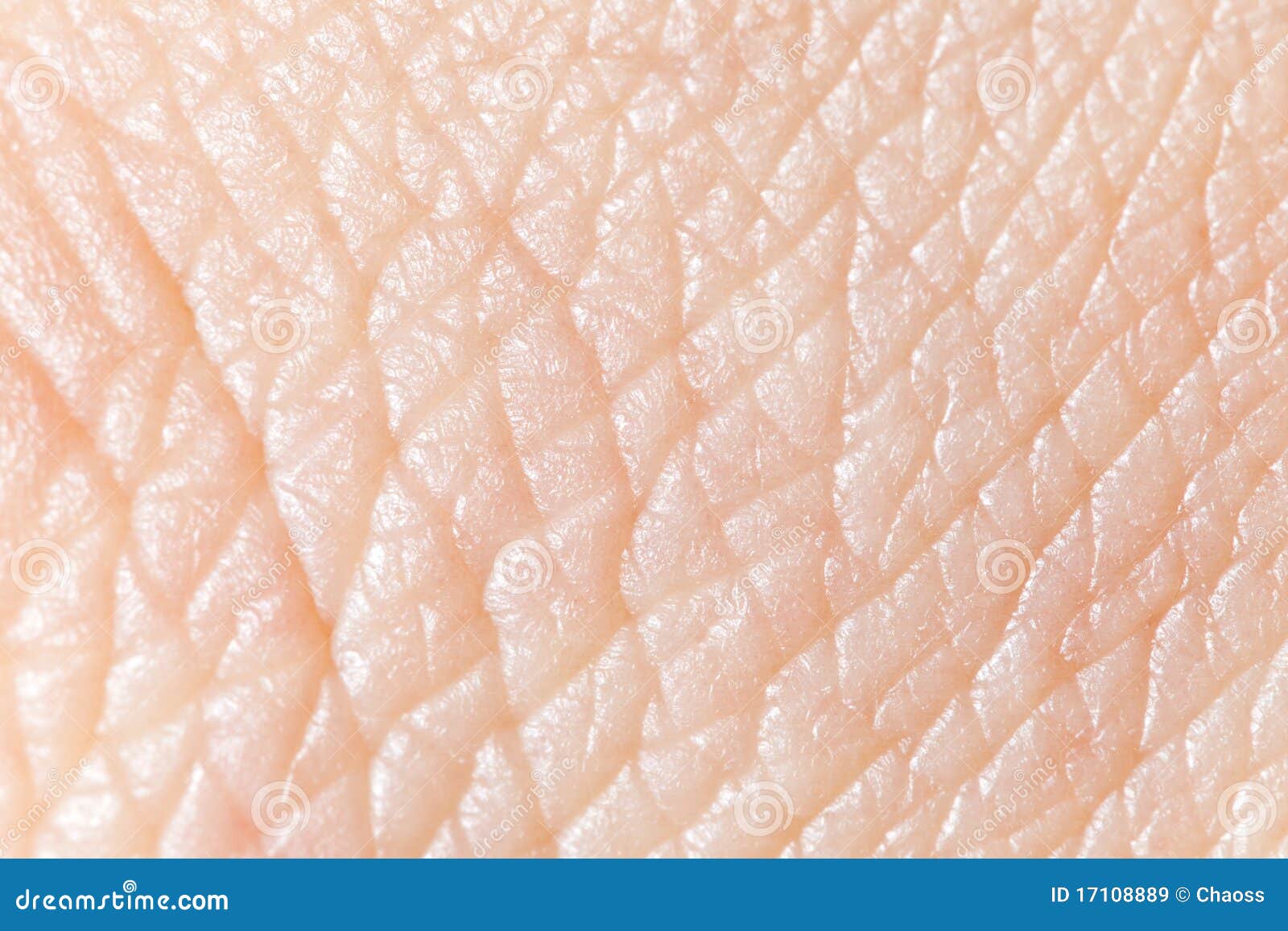 Peau Humaine Images libres de droits - Image: 17108889