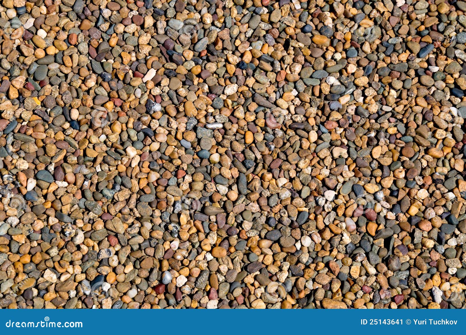 Pebble stock image. Image of textured, pebble, gravel - 25143641