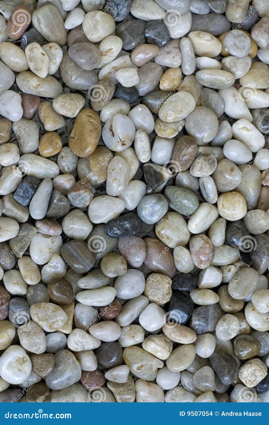 Pebble background stock photo. Image of nature, pebble - 9507054