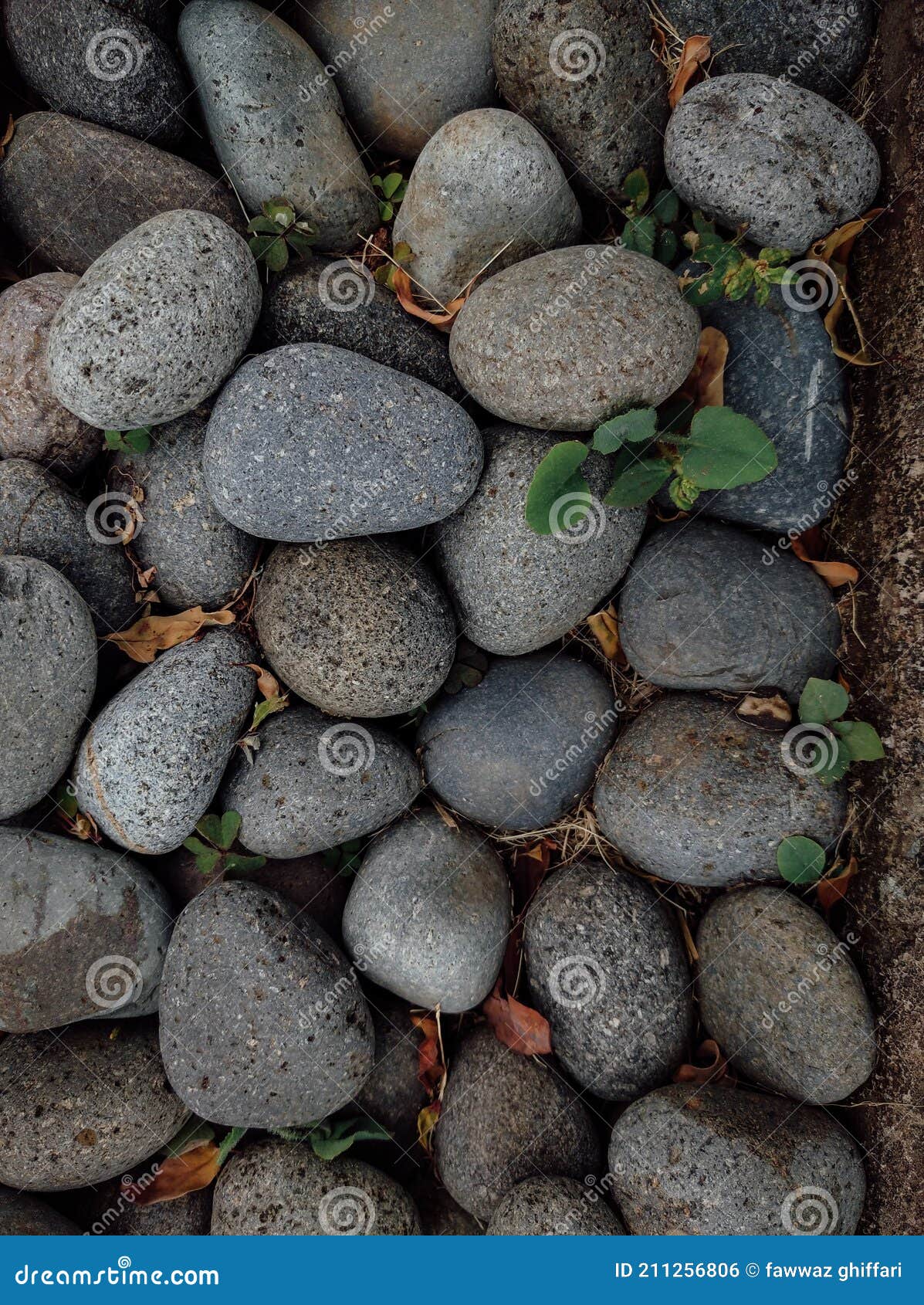 A Pebble Suitable for the Background Stock Photo - Image of clear ...
