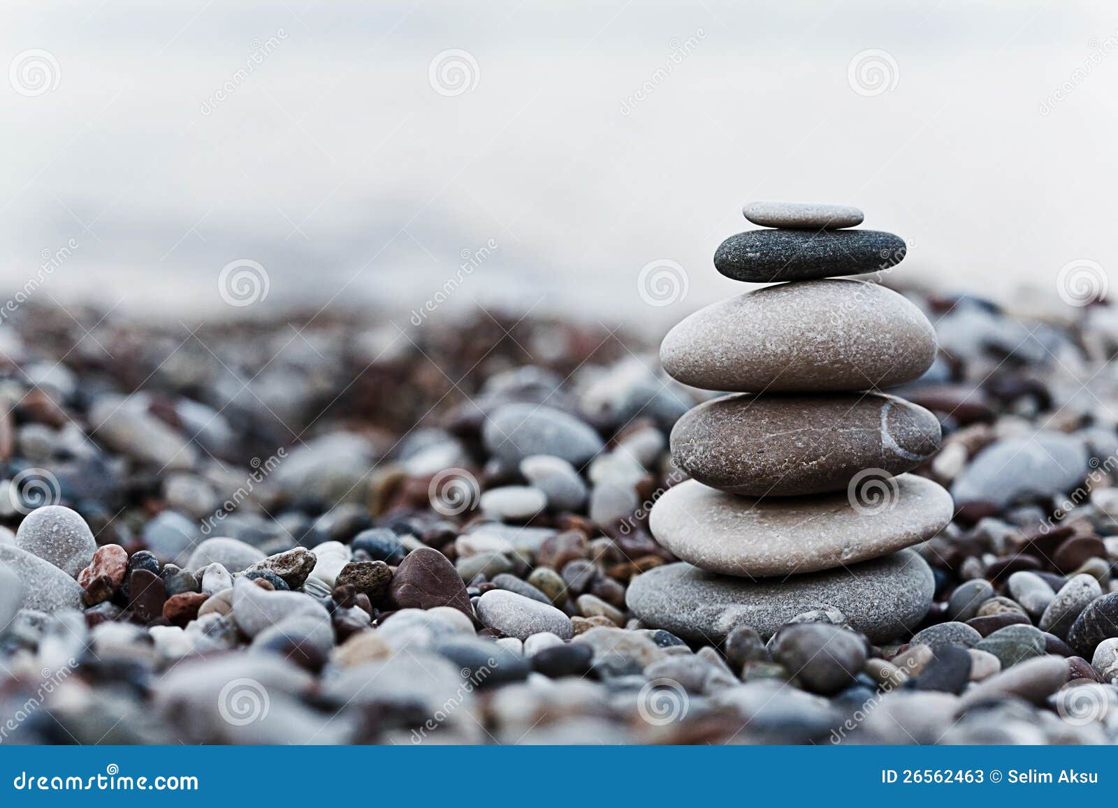 Pebble on beach stock image. Image of lastone, collection - 26562463