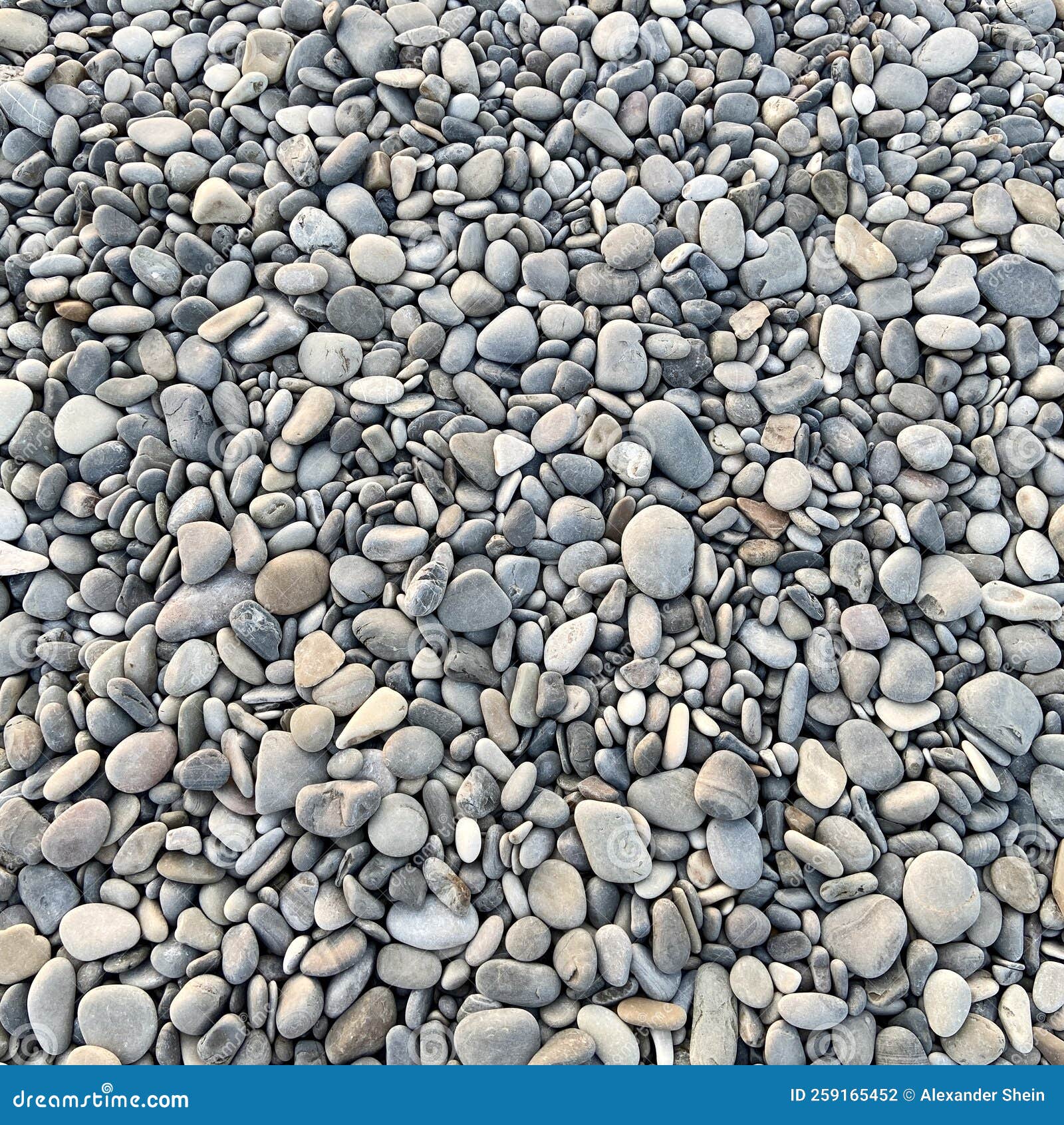 Pebble Beach on the Black Sea Coast Stock Photo - Image of coast ...