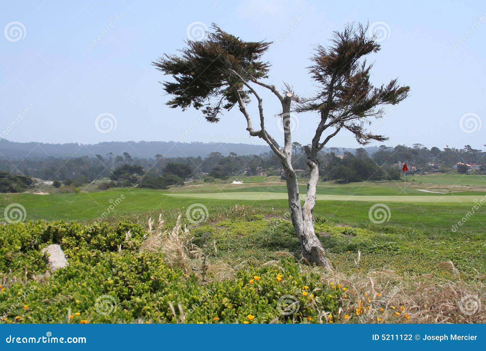 Pebble Beach Golf stock photo. Image of recreation, sports - 5211122