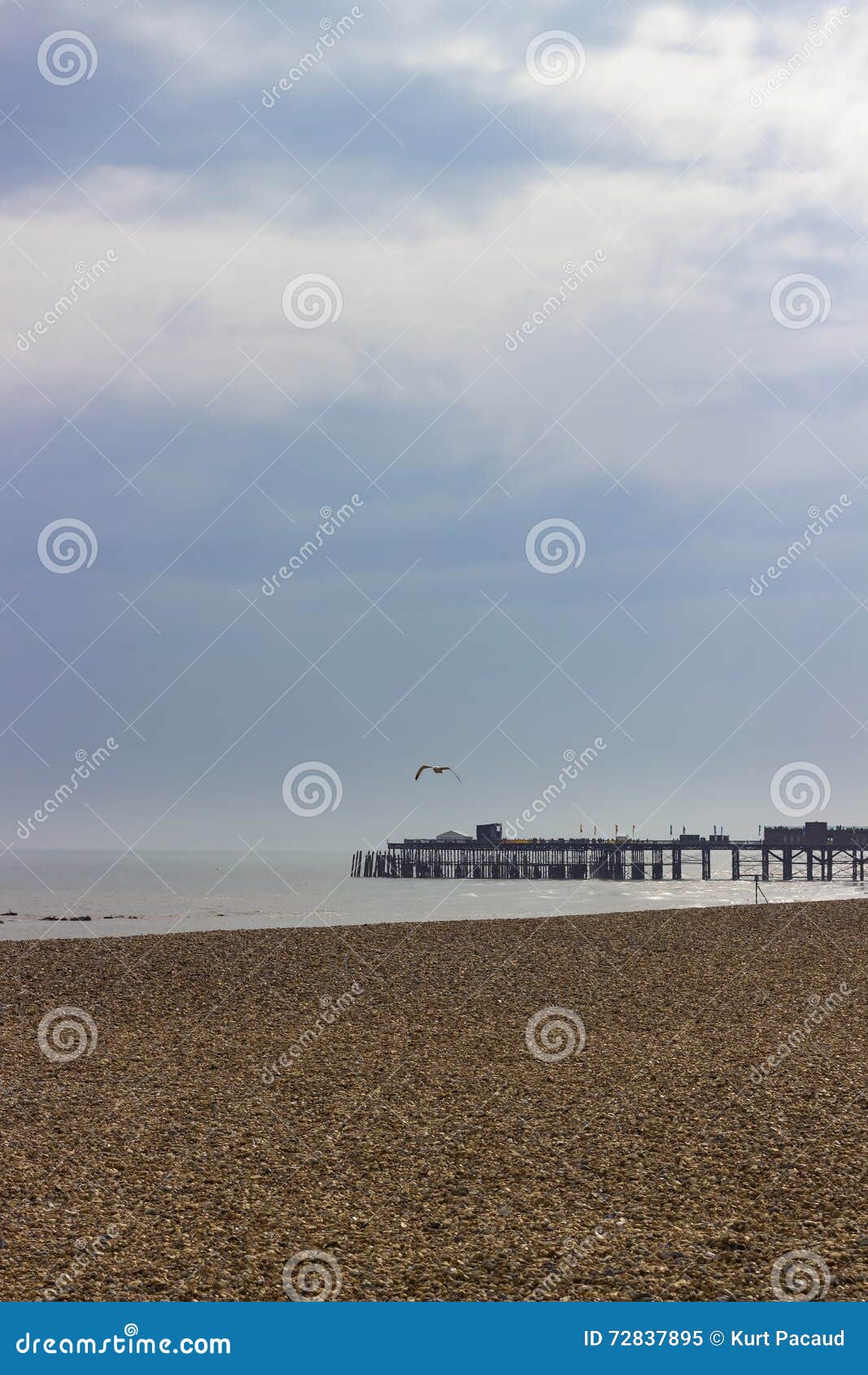 The Pebble Beach of Hastings Stock Image - Image of pier, destination ...