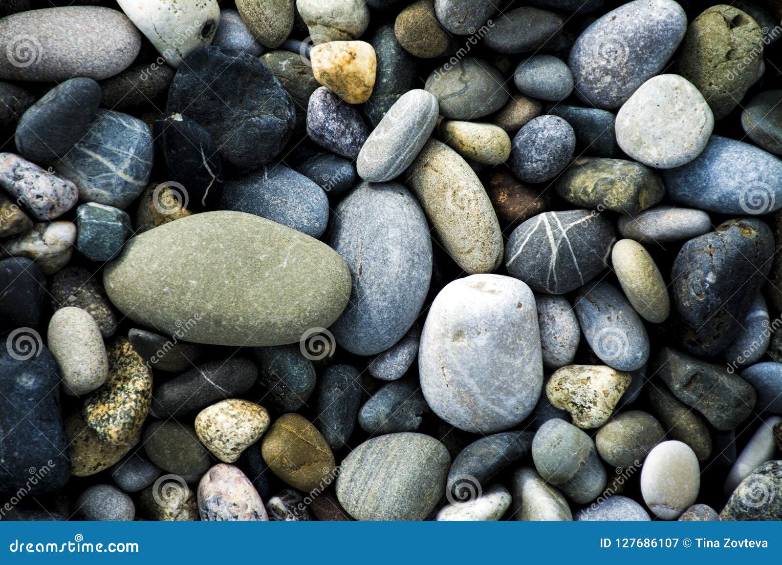 Pebble beach rocks stock image. Image of dirty, brown - 127686107
