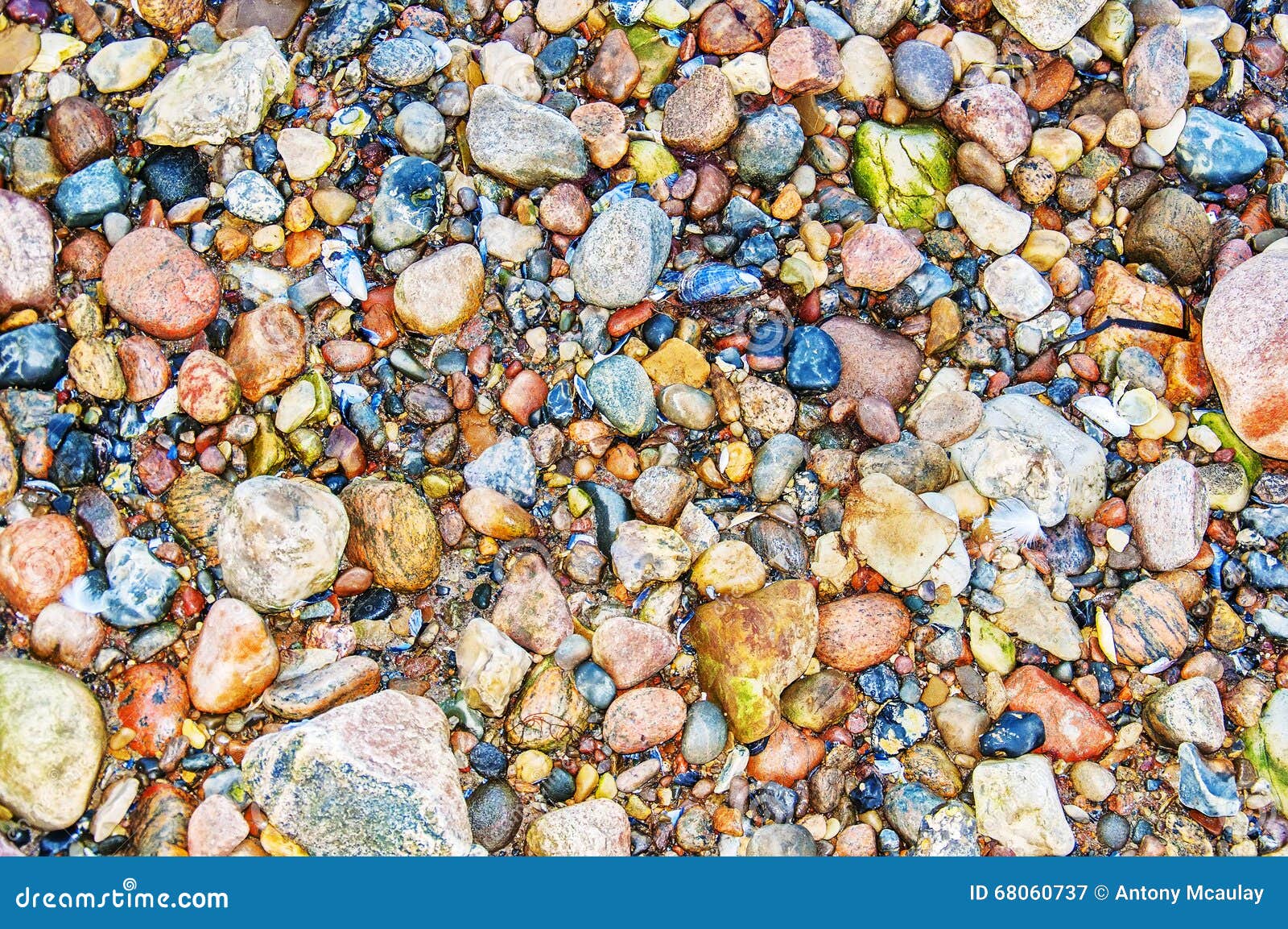 Pebble beach Texture stock image. Image of gray, erosion - 68060737