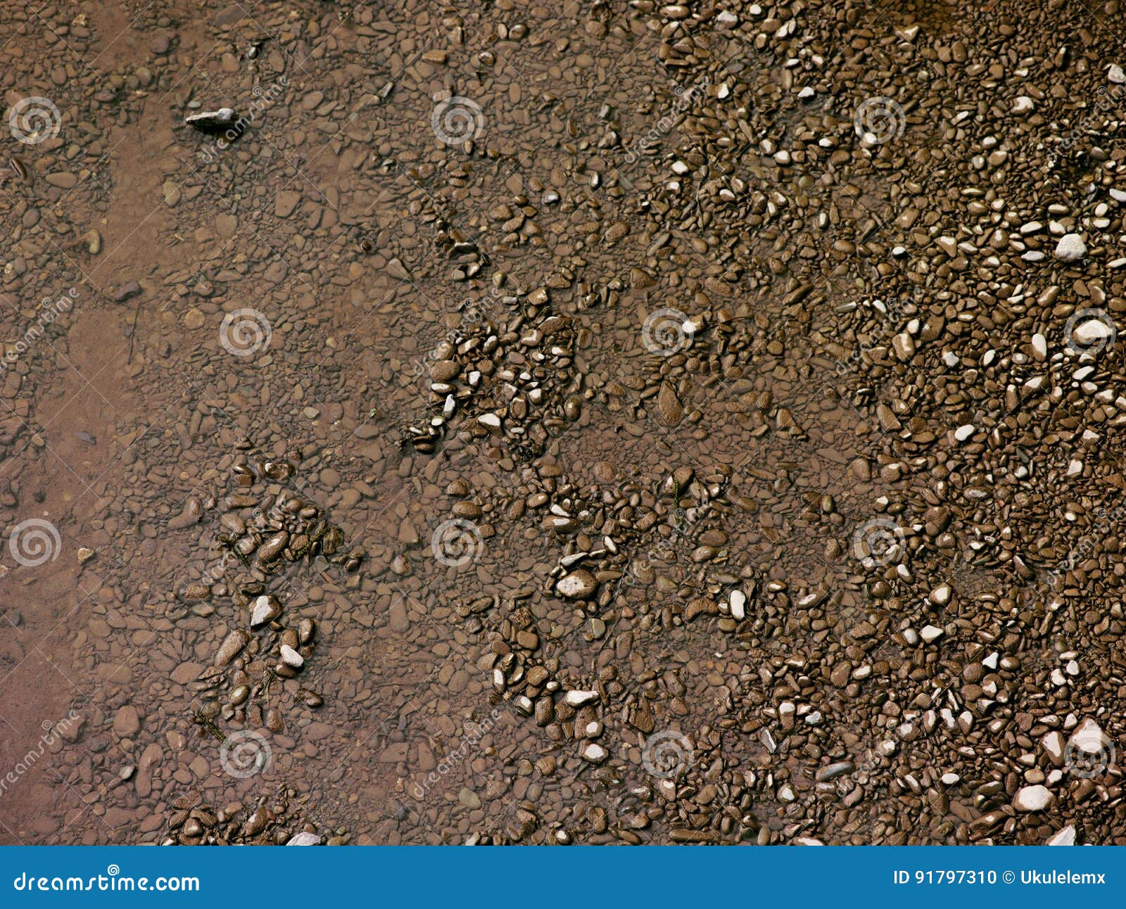 Pebble Beach with Water Sand and Mud Stock Photo - Image of people ...