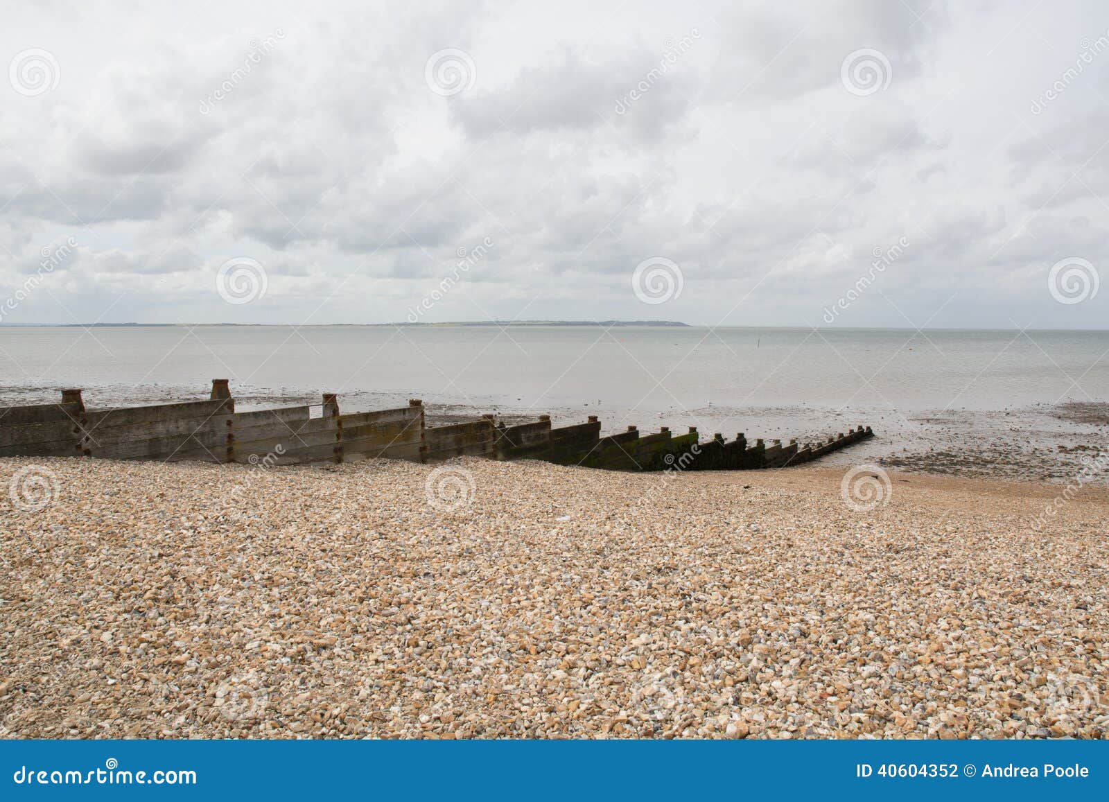 Pebble Beach at Whitstable stock photo. Image of beach - 40604352