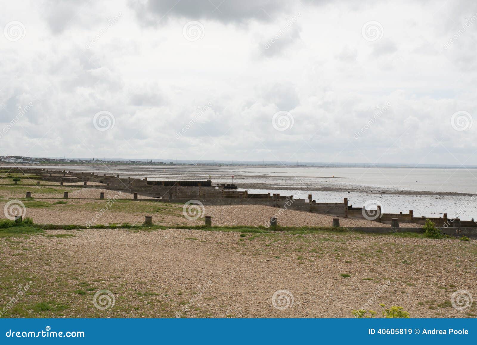 Pebble Beach at Whitstable stock image. Image of england - 40605819