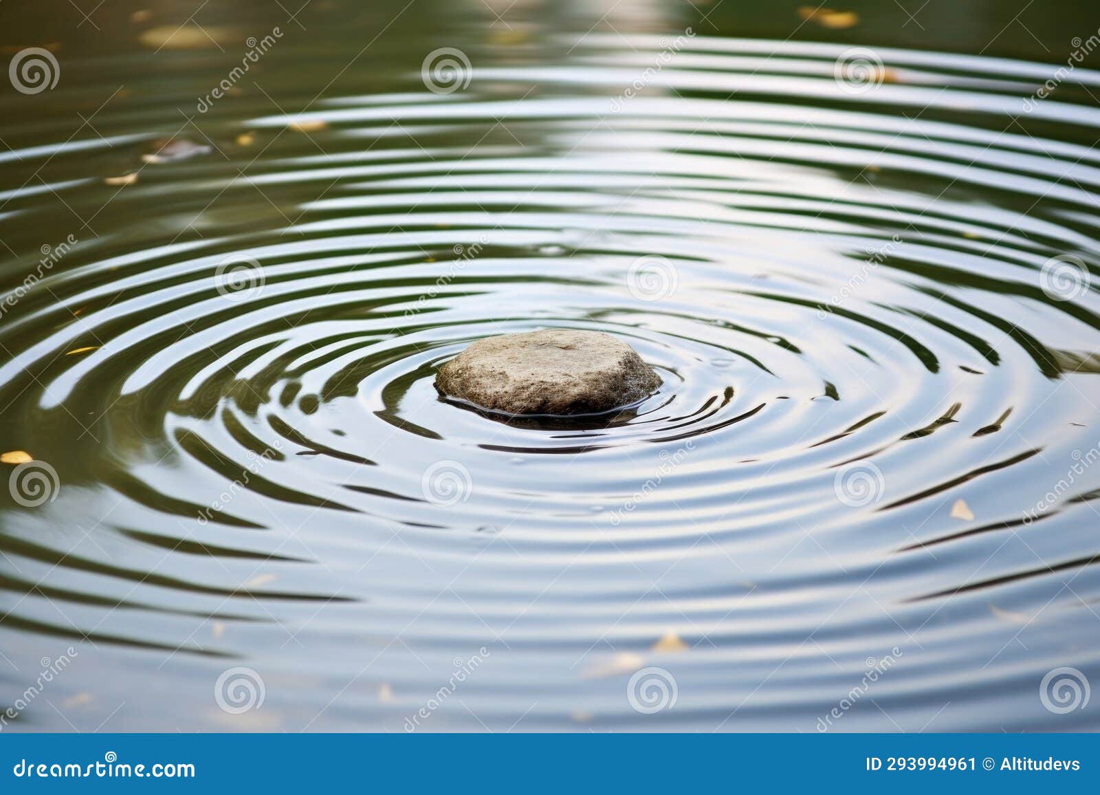 A Pebble Causing Ripples in a Still Pond Stock Image - Image of nature ...