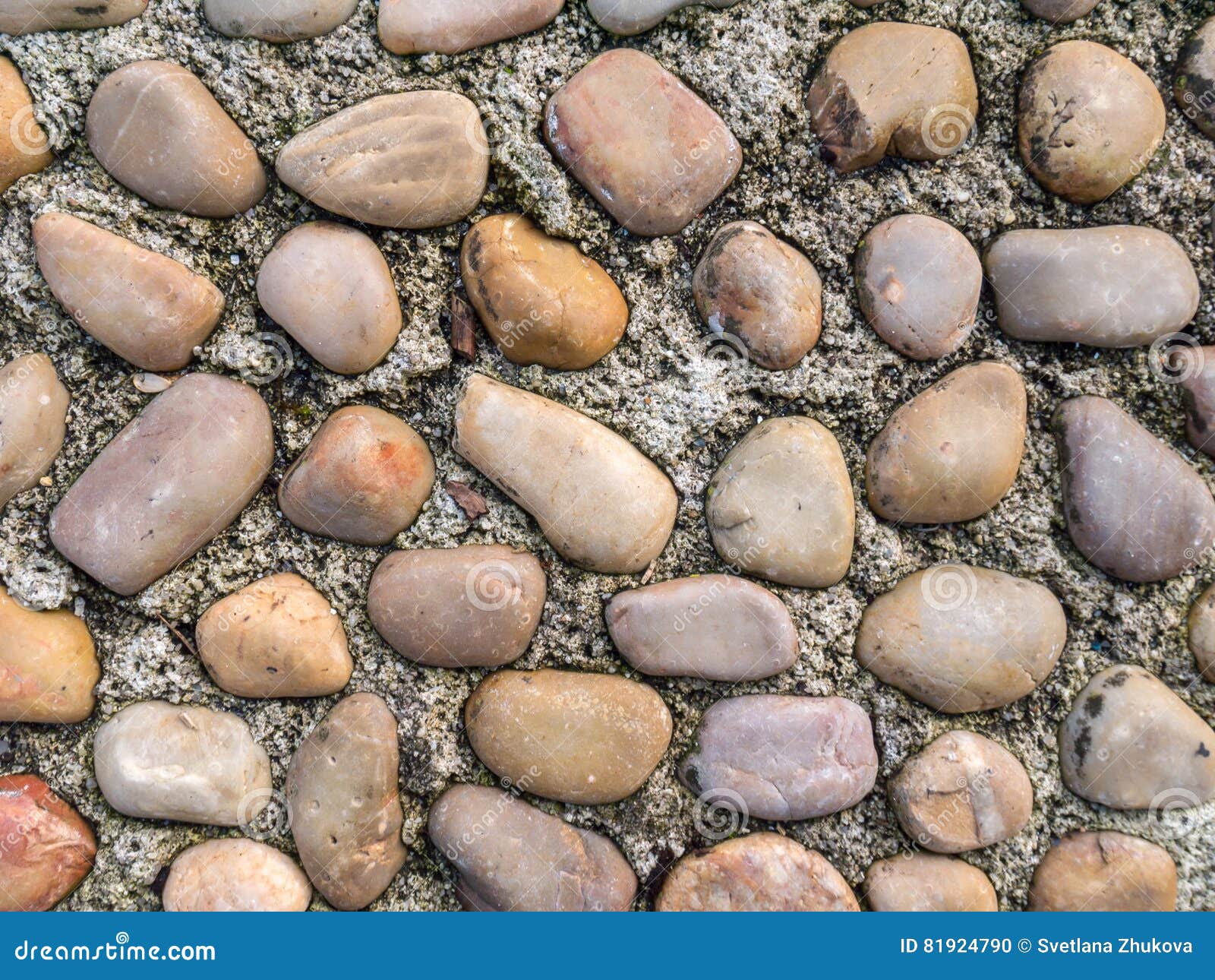 Pebble and concrete paving stock photo. Image of pavement - 81924790