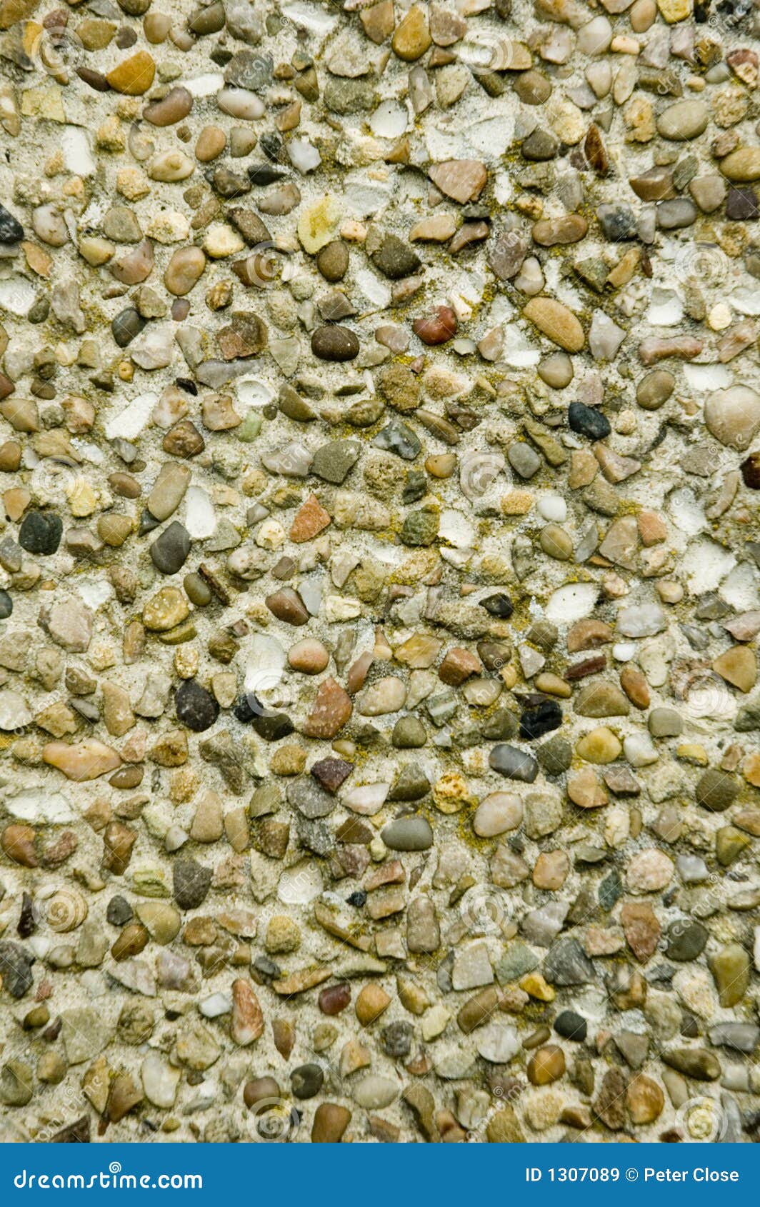 Pebble dashed wall stock image. Image of render, dashing - 1307089