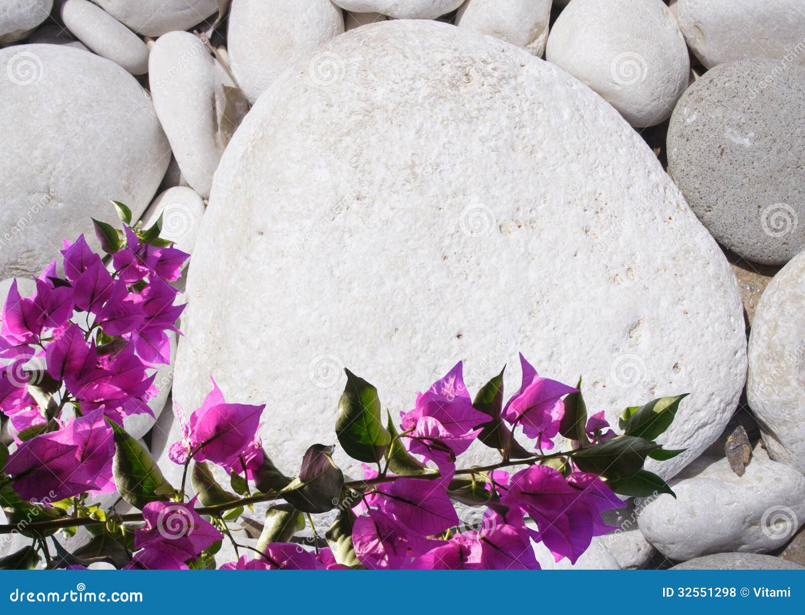 Pebble and flower stock photo. Image of border, plant - 32551298