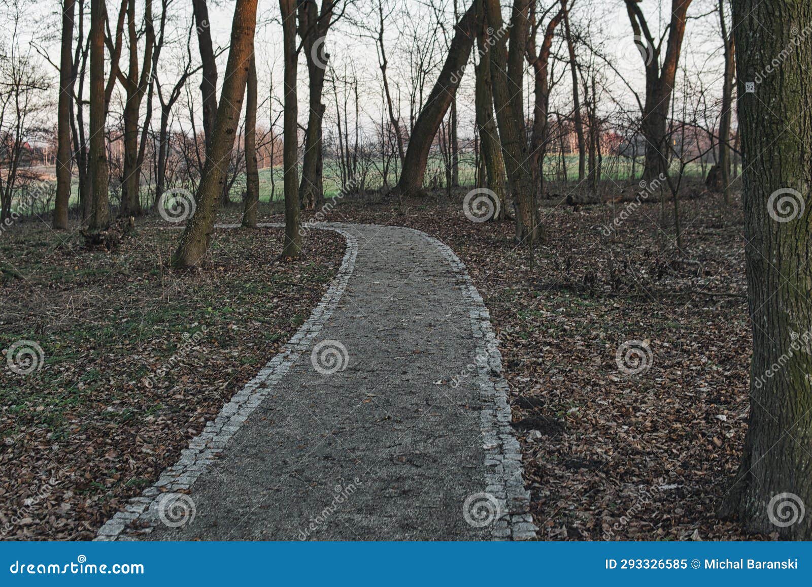 Pebble Ground Path through a Park with Trees Stock Image - Image of ...
