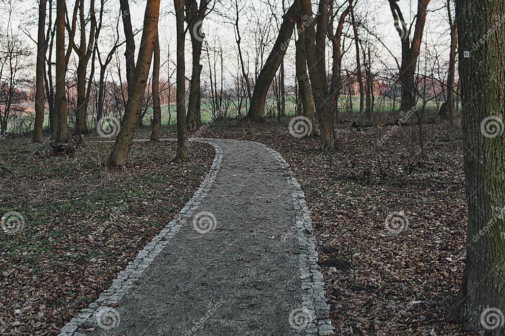Pebble Ground Path through a Park with Trees Stock Image - Image of ...