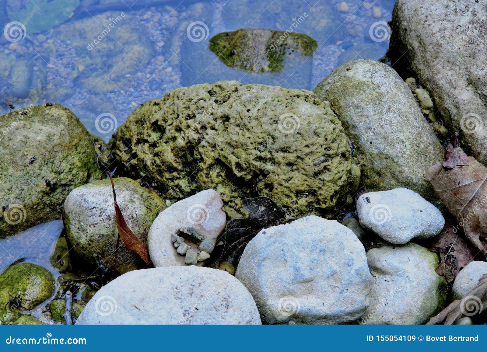 Fun pebble in the river stock image. Image of water - 155054109