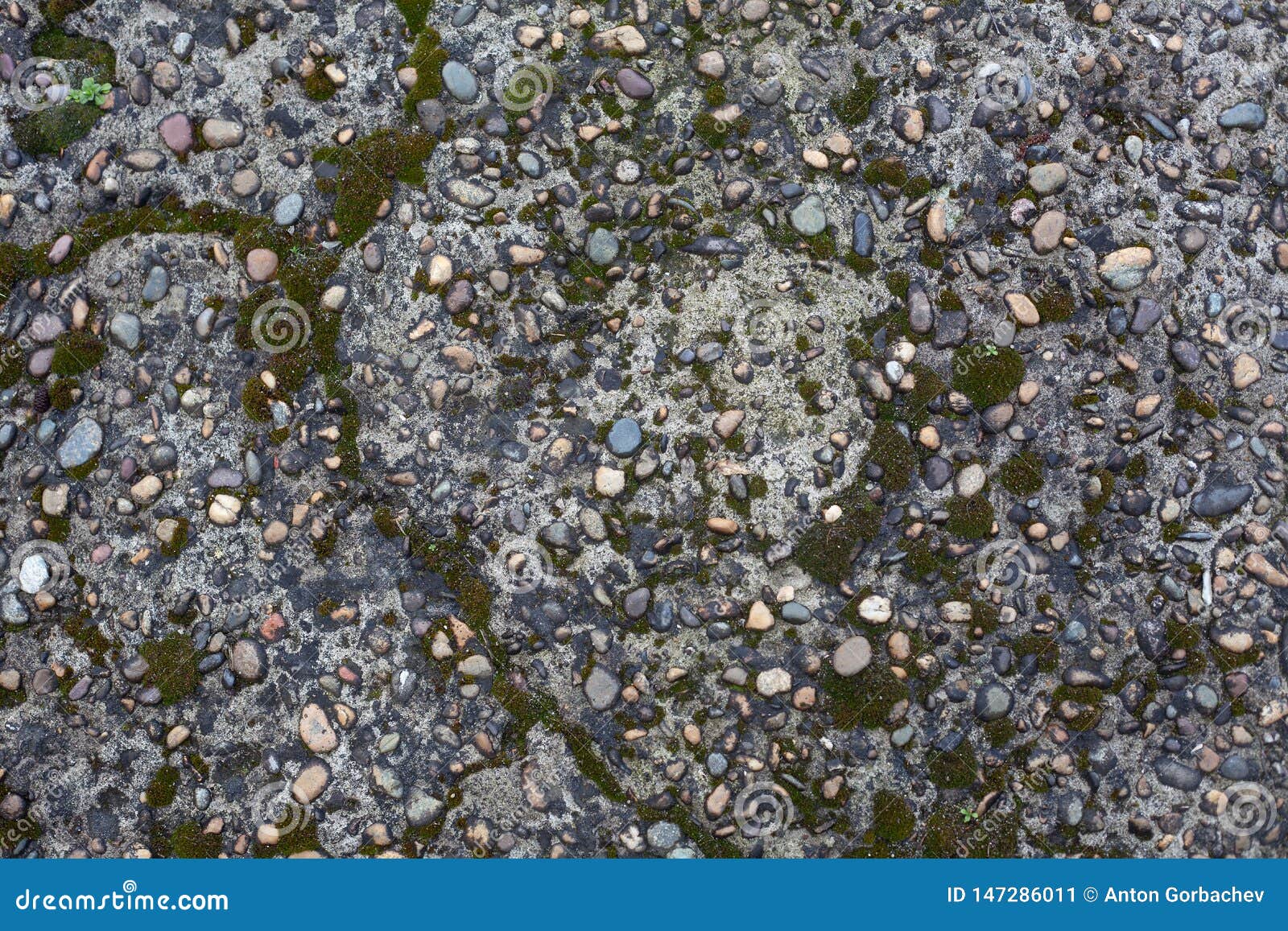 Pebble Inlay in Concrete with Moss Stock Image - Image of green, plant ...