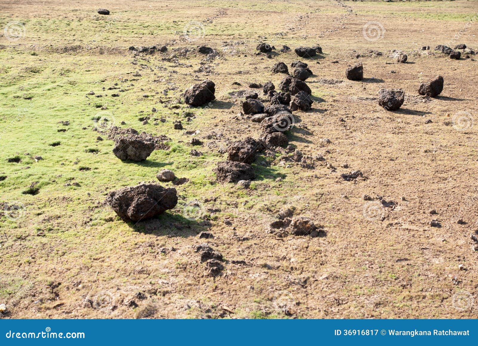 Pebble stock image. Image of natural, national, black - 36916817