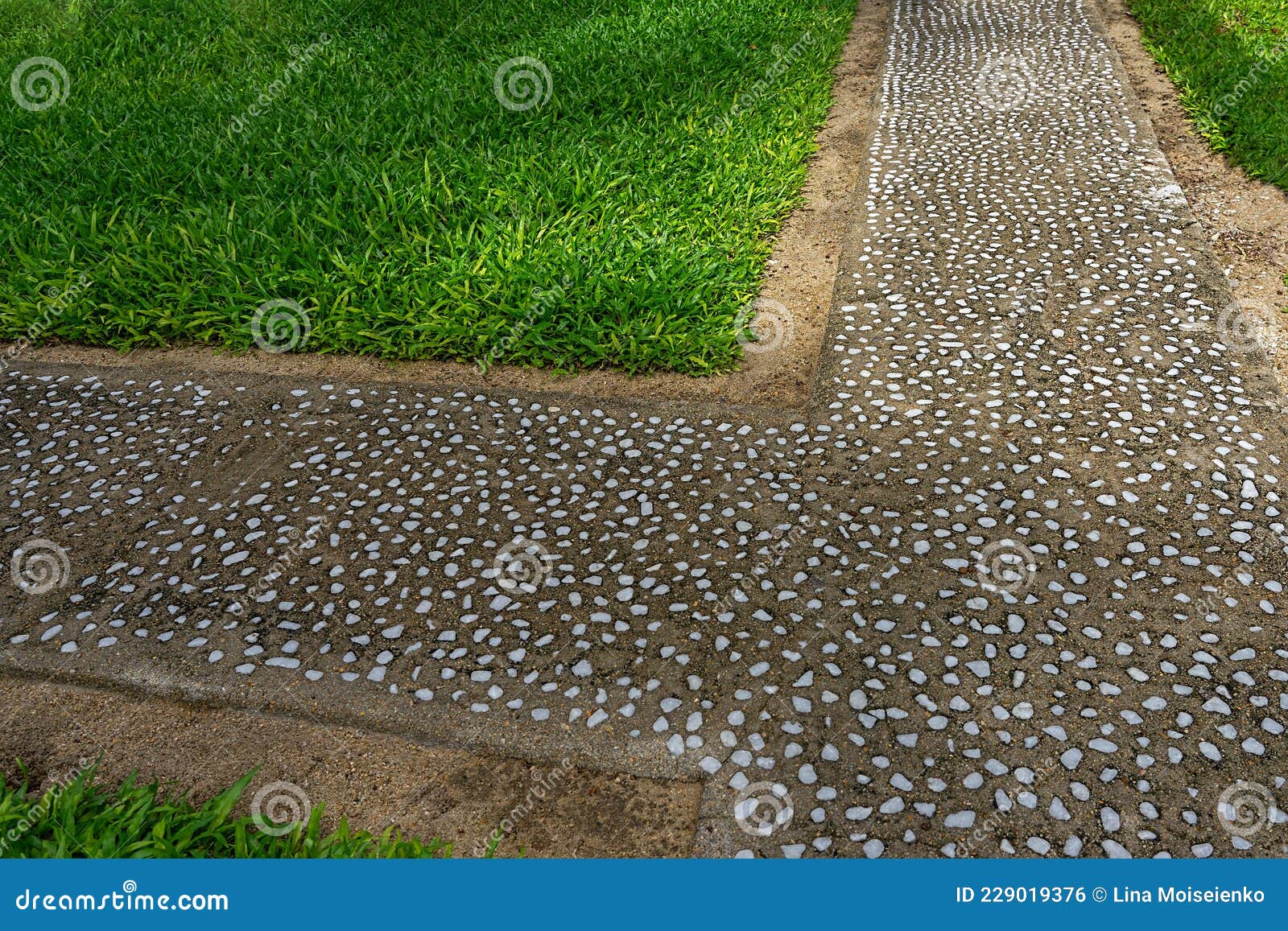 Pebble path in the park stock photo. Image of adhesion - 229019376