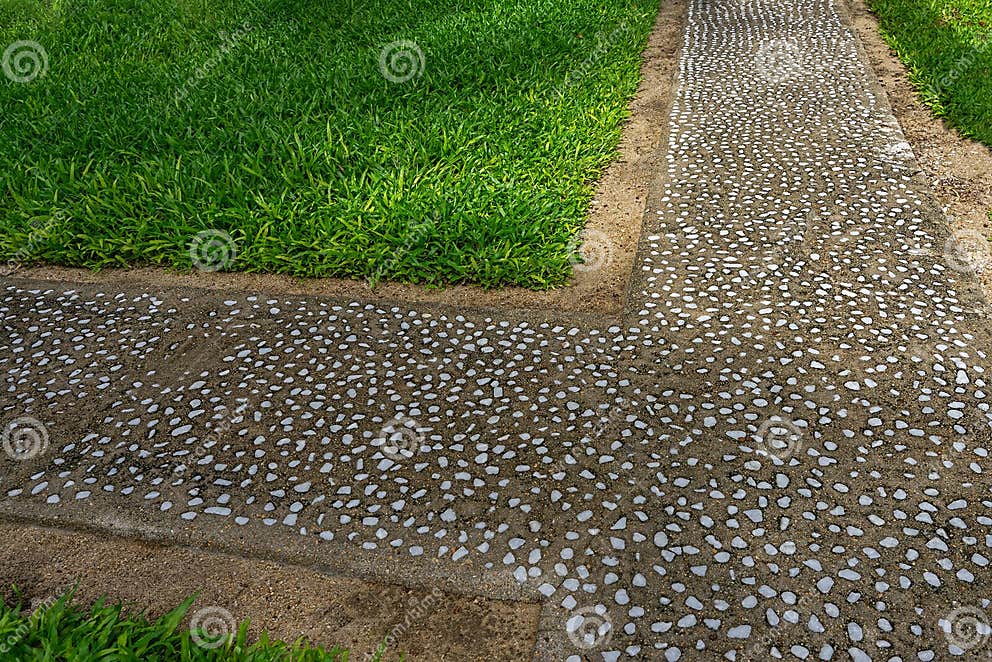 Pebble path in the park stock photo. Image of adhesion - 229019376