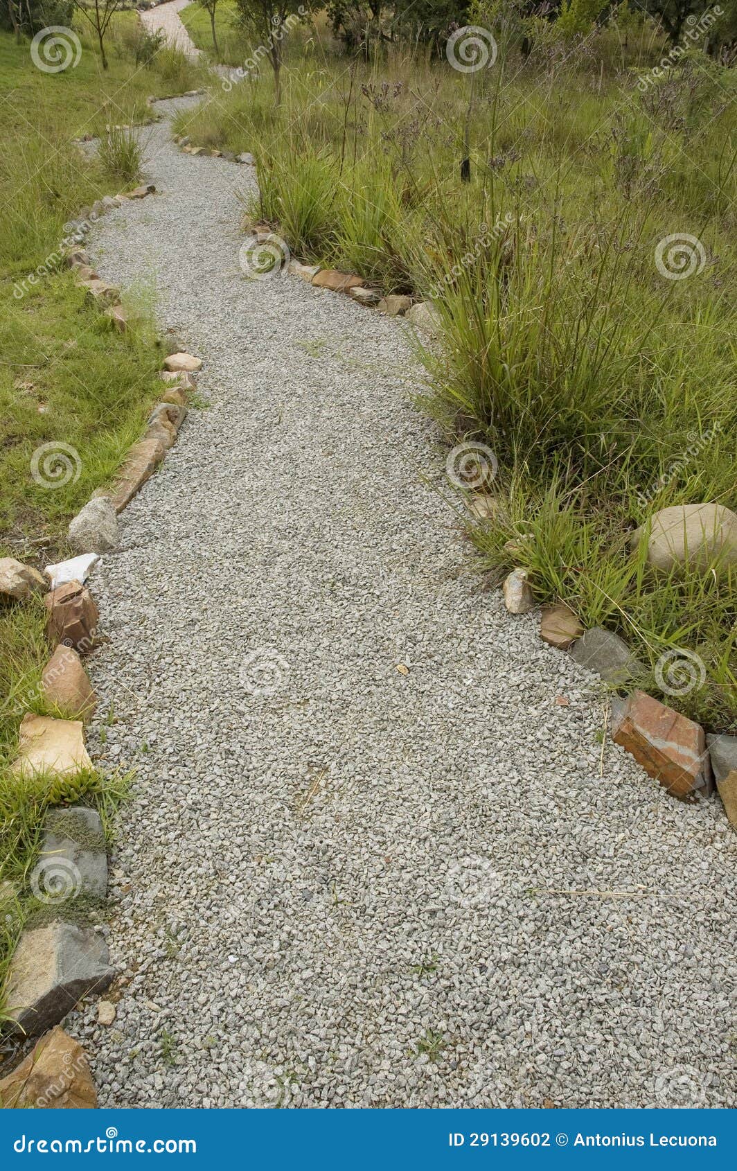 Pebble Pathway in Wild Garden Stock Photo - Image of outdoors ...