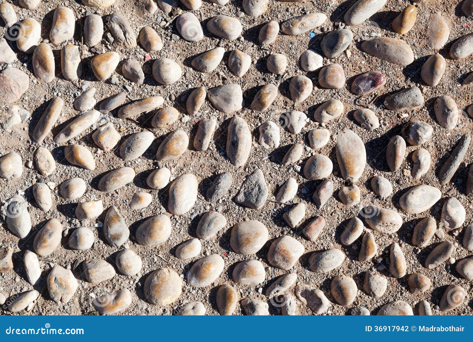 Pebble paving stock photo. Image of stone, concrete, texture - 36917942