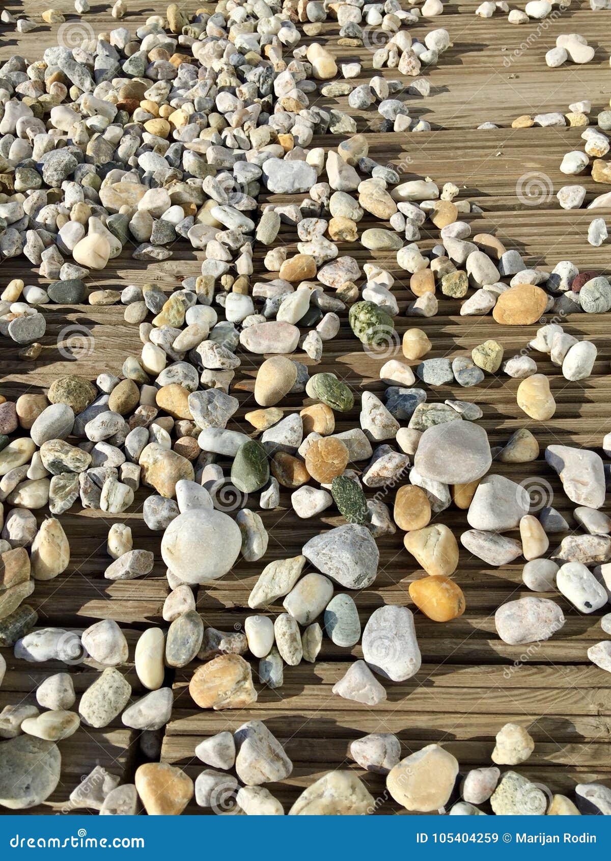 Pebble stock image. Image of white, board, wood, green - 105404259